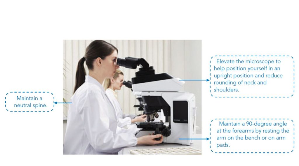 Microscope Ergonomics | Basic Microscope Ergonomics | Ergonomic Tips