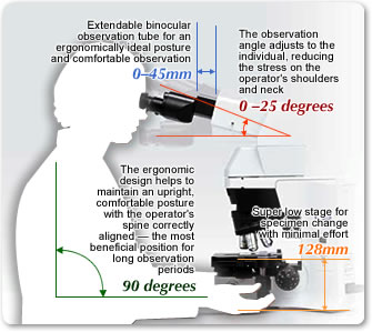 Microscope Ergonomics | Basic Microscope Ergonomics | Ergonomic Tips